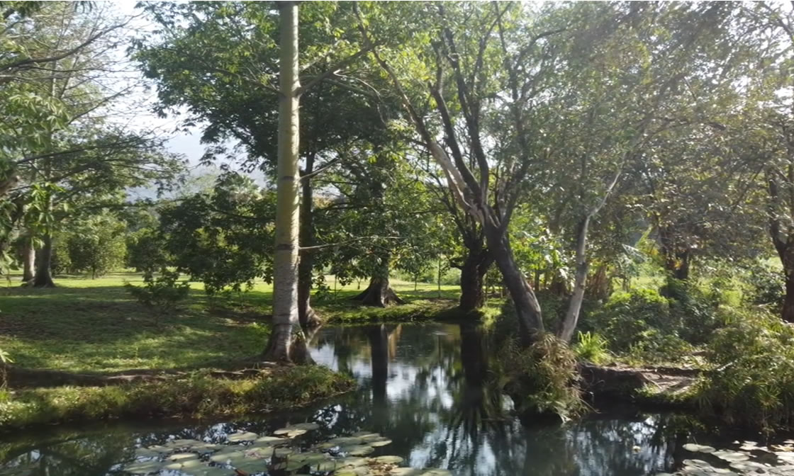 Proyecto Social Ambiental Parque lineal de Concá, Arroyo Seco.